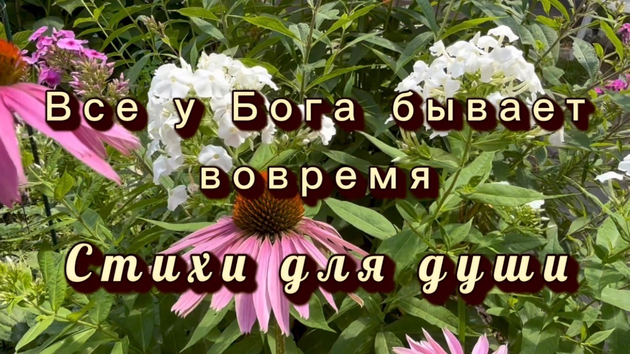 ПОЭЗИЯ