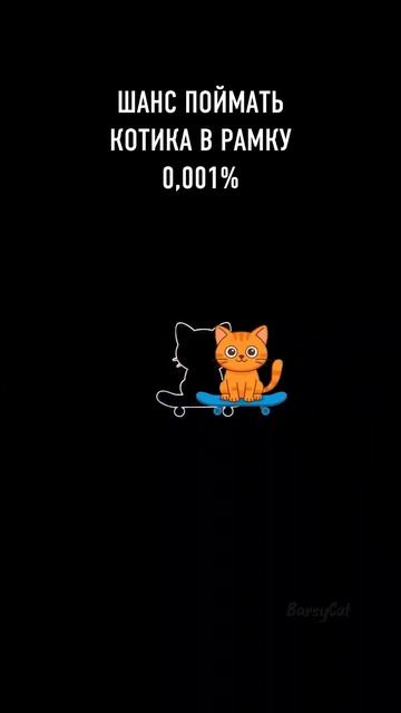 Получилось поймать котика?
