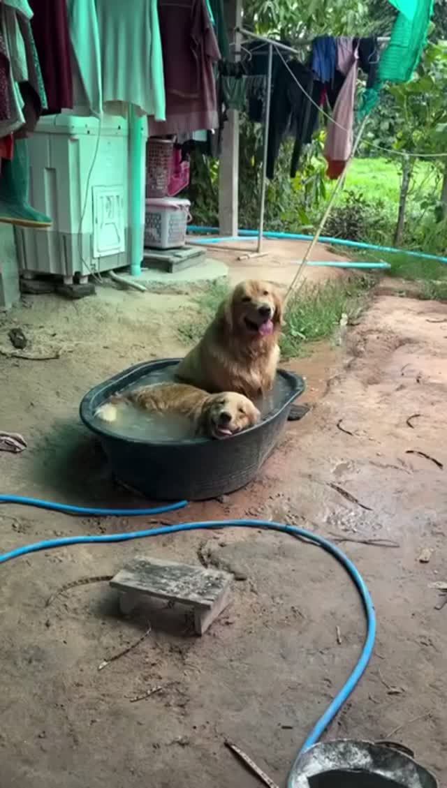 охлаждаемся