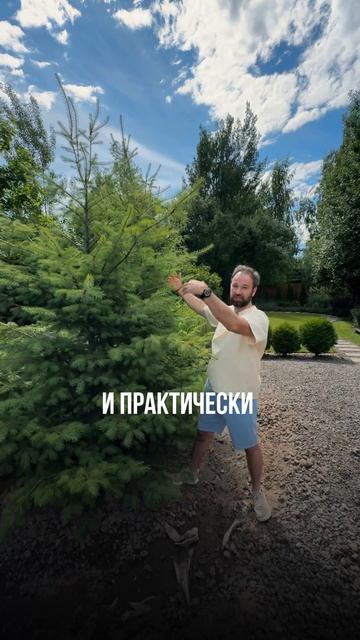 Купели, бани и здоровье