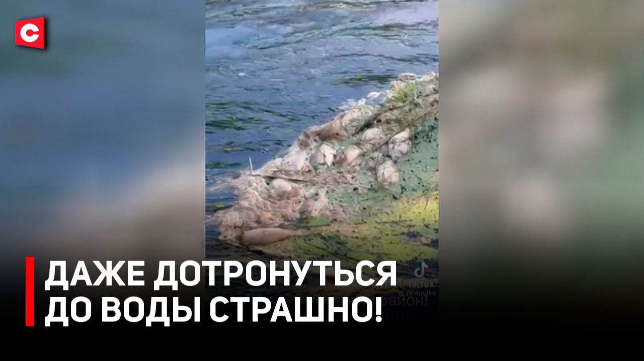 Сюжеты Новости ″24 часа″