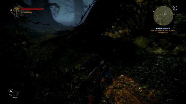 The Witcher 2 - Assassins of Kings Enhanced Edition. Часть 19. Главоглаз, Йорвет, Лето