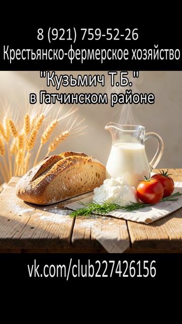 Крестьянско-фермерское хозяйство "Кузьмич Т.Б." в Гатчинском районе