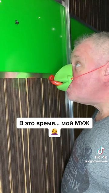 Мой муж мух ловит...