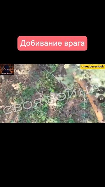 Фаталити