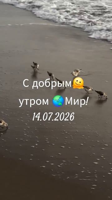С добрым утром!