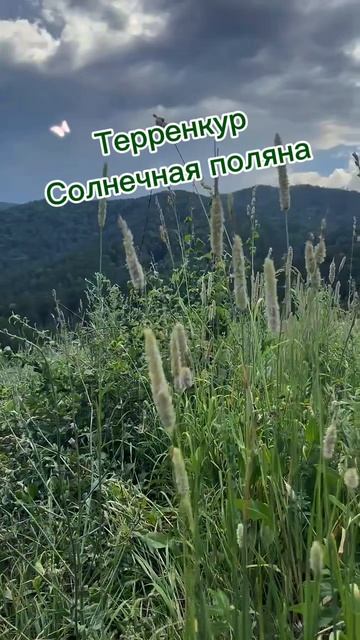 Развлечения в санатории
