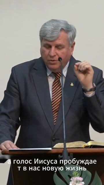 шортс