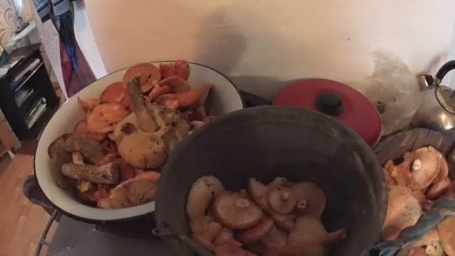 ЖИЗНЬ В ДЕРЕВНЕ!СЛАВА НАБРАЛ ЦЕЛЫЙ ПАКЕТ ГРУЗДЕЙ!