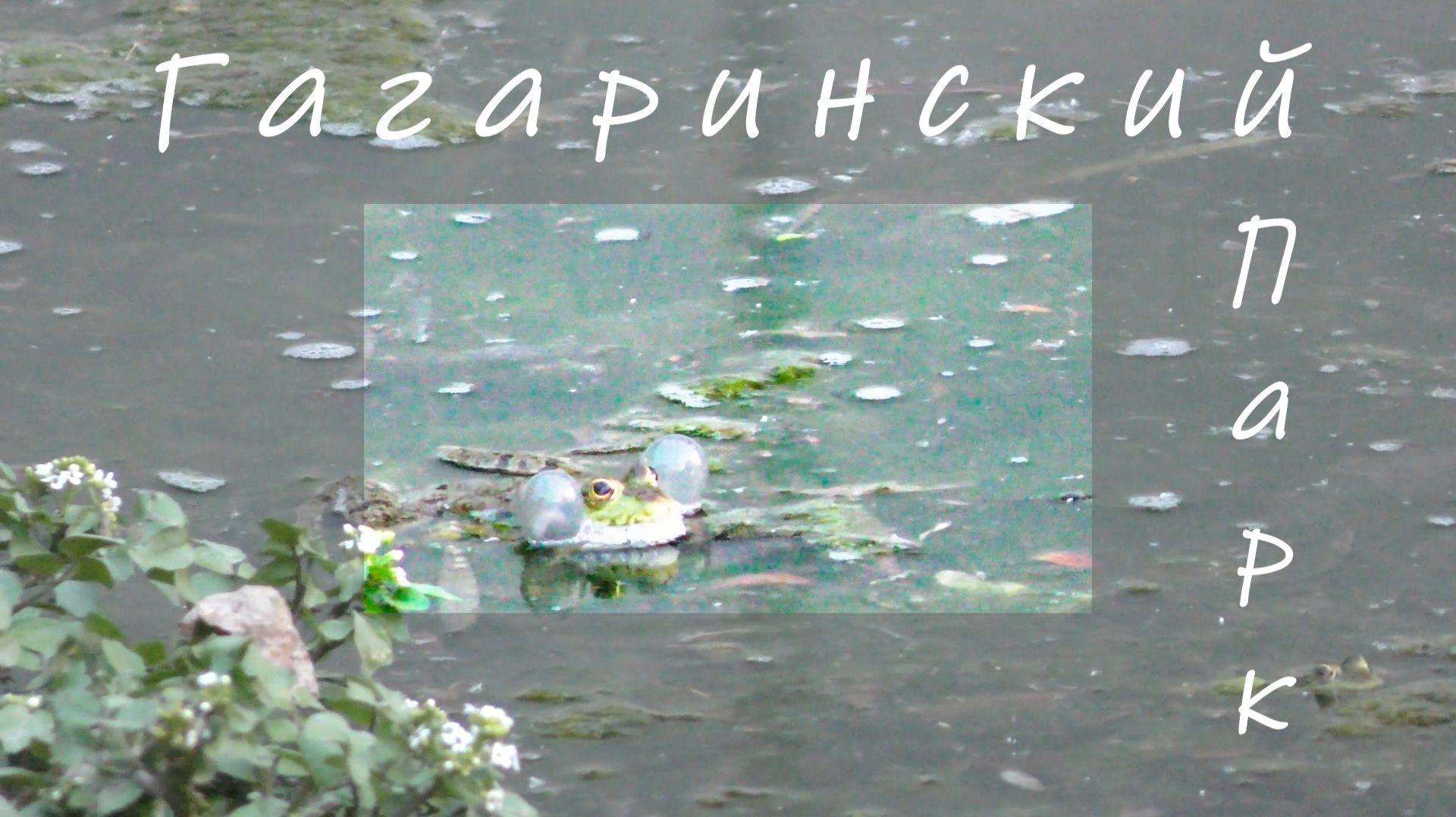 Гагаринский Парк