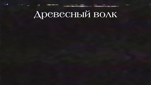 lv_0_20260715124239