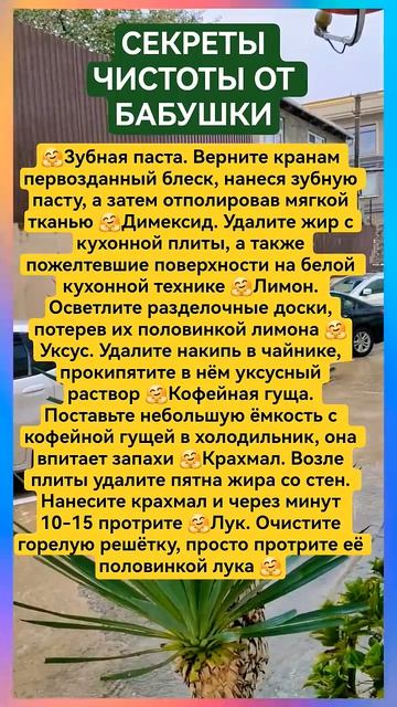 #shorts# Секреты чистоты от бабушки #рекомендации#подпишись#защитнаямагия#хозяйкамназаметку#советы