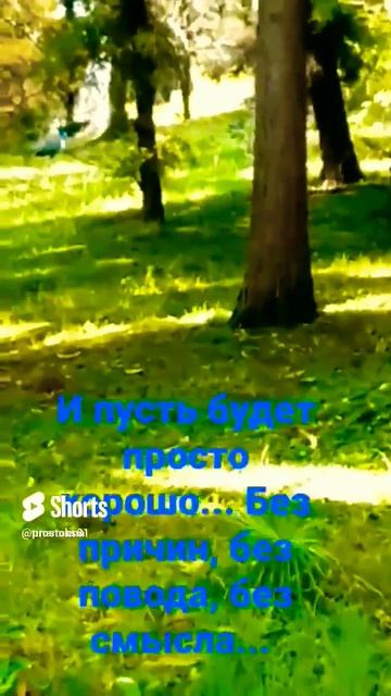 #shotrs#reels# Всем людям мира, счастья и добра