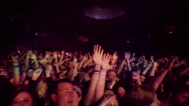 Fall Out Boy - Love, Sex, Death