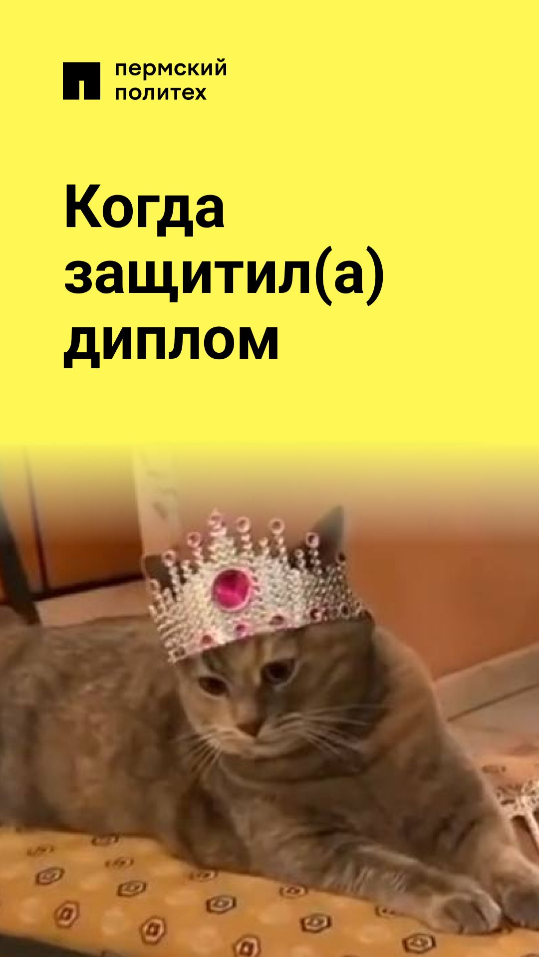 Когда защитил(а) диплом