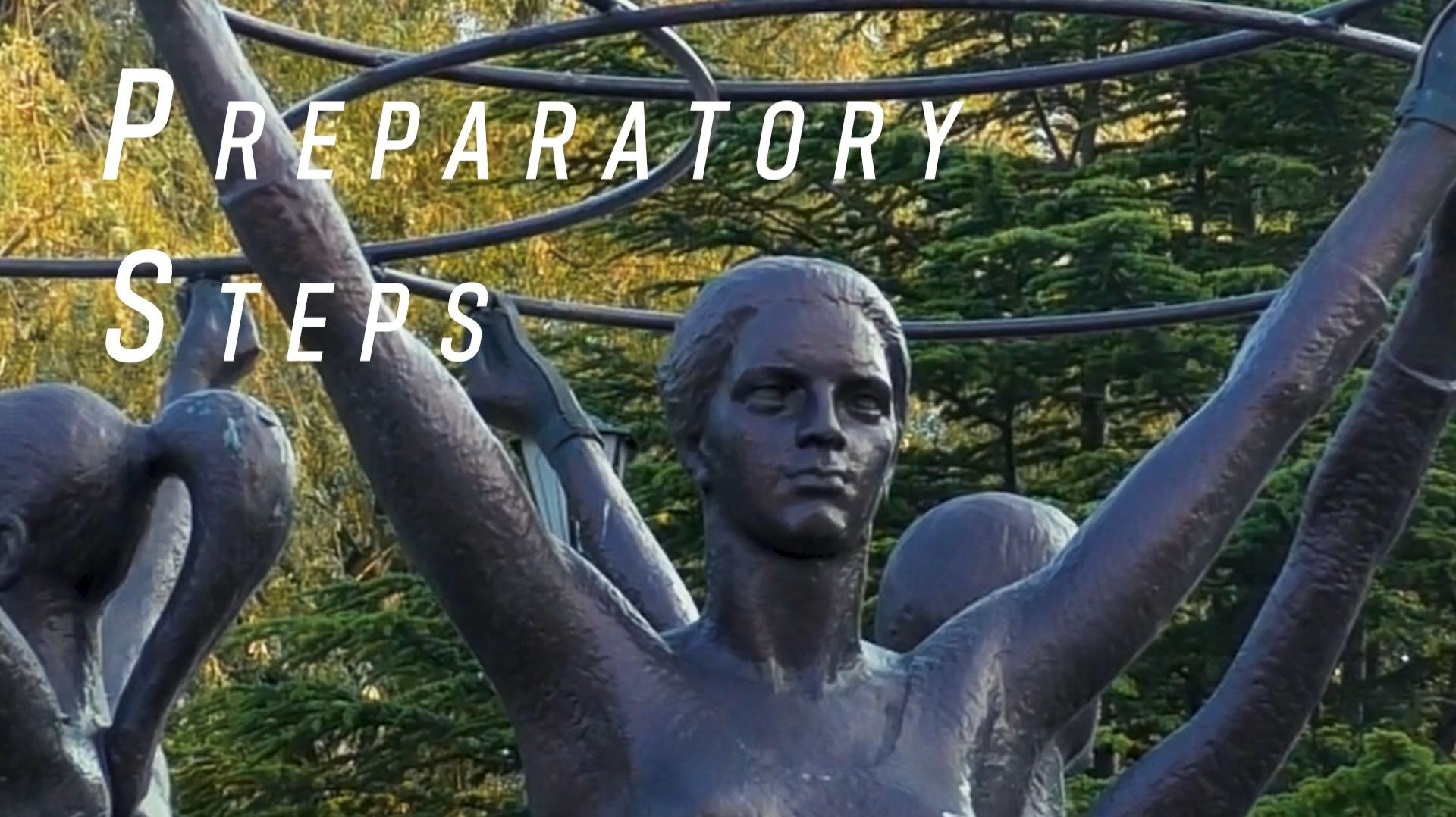 Preparatory Steps