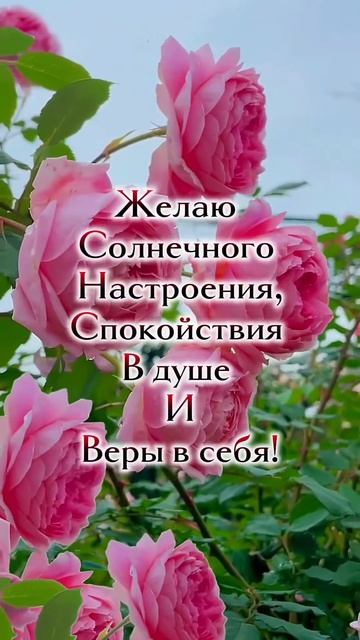 С добрым утром!