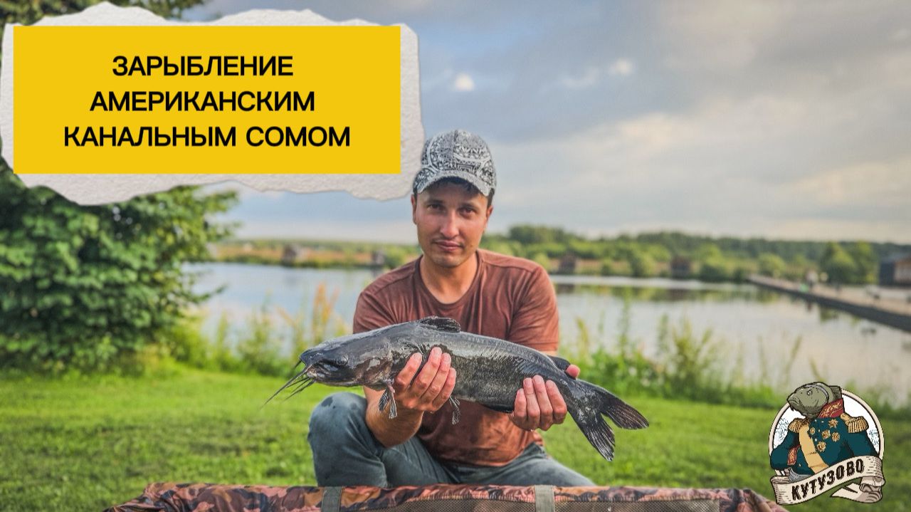 Зарыбление американским канальным сомом запуск 1000 кг