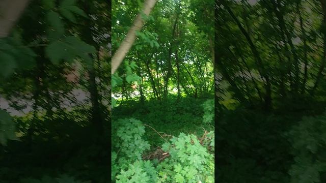 Подольск Красногвардейский бульвар