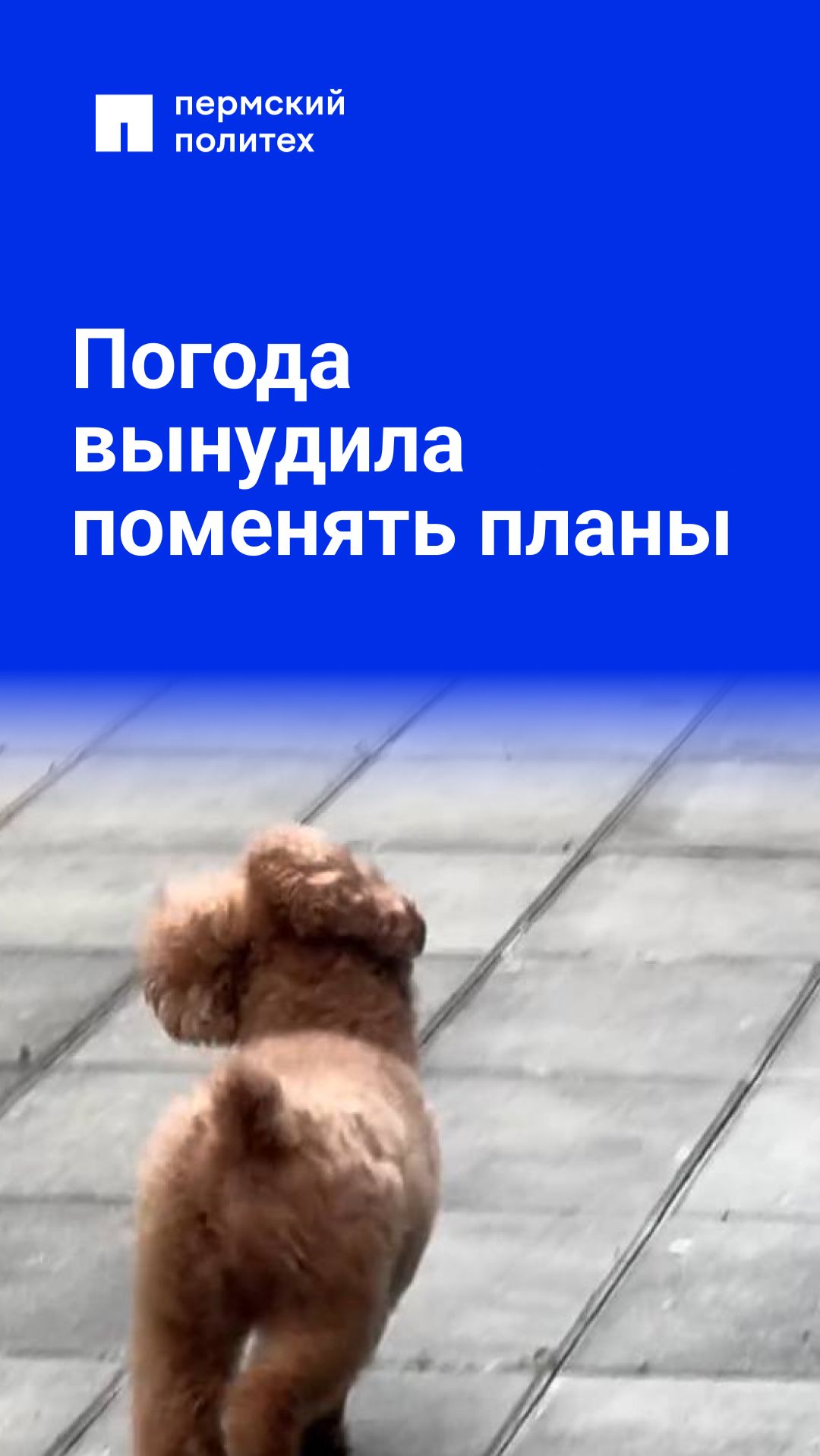 Погода вынудила поменять планы