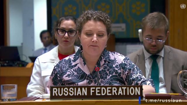 А.М.Евстигнеева на СБ ООН по безопасности судоходства в Красном море, Нью-Йорк, 14 июля 2026