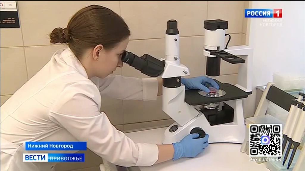 Нижегородские ученые исследуют одну из главных причин бесплодия