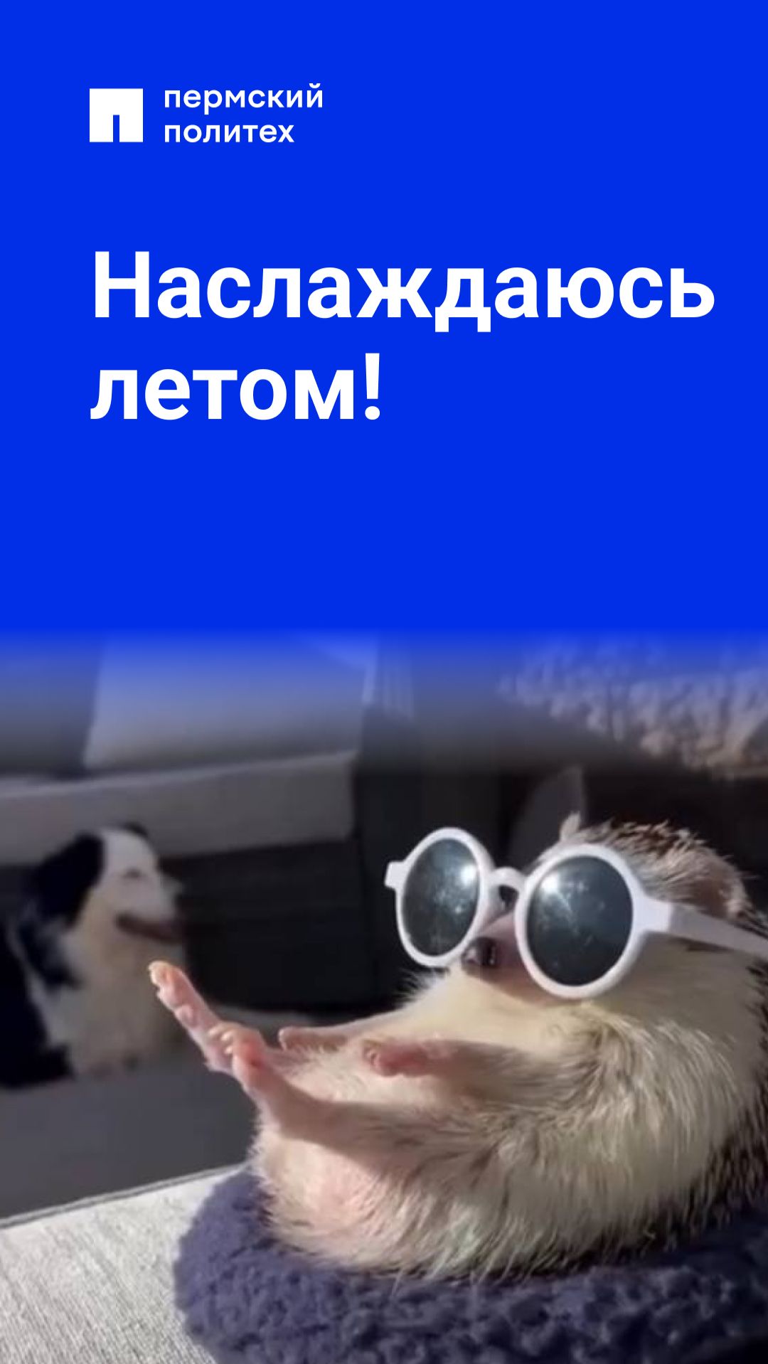 Наслаждаюсь летом!