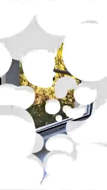 Этот кот работает на износ 😂 Лучшие моменты от профи 🐱 2026