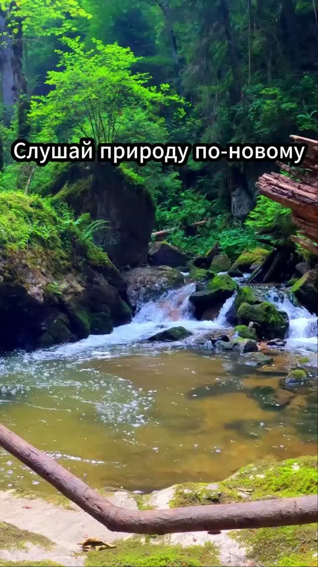 Ручей без шума, только музыка для релакса | Koala Relax