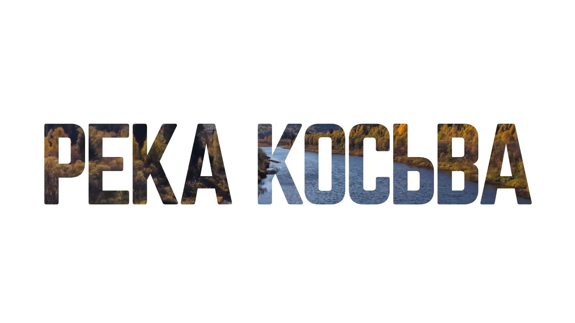 Созерцай