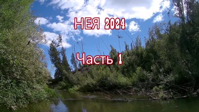 НЕЯ 2024. Часть 1