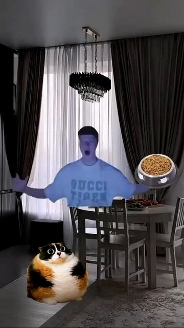Котость