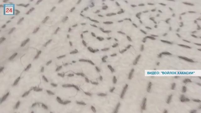 С нуля и по старинным технологиям: мастерицы Хакасии воссоздали точную копию древнего ковра