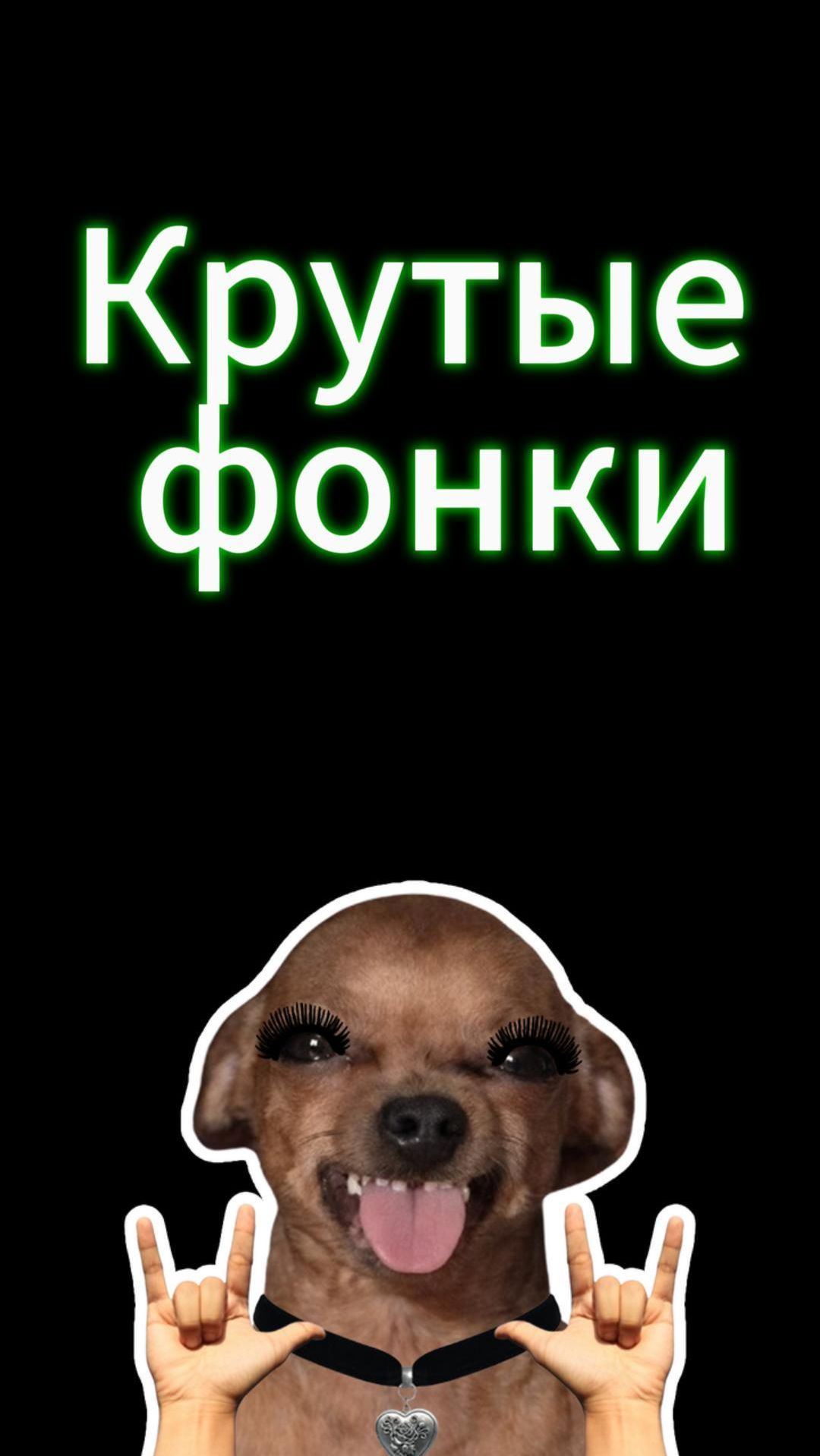 Крутые фонки 2025-2026