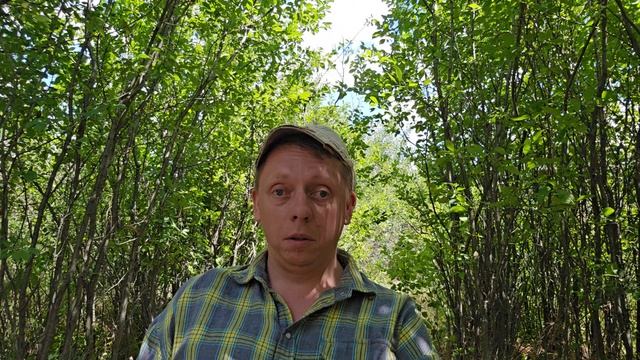 Невнятный монолог