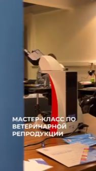 Мероприятия