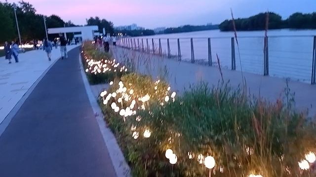 Коломенское музей заповедник светящиеся дорожка на набережной Москвы реки летним вечером