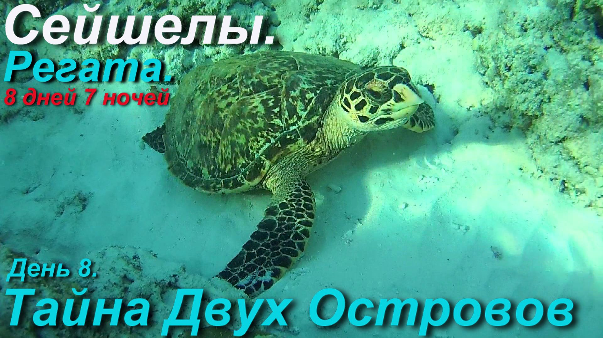 Сейшельская регата. Тайна Двух Островов (День 8)
