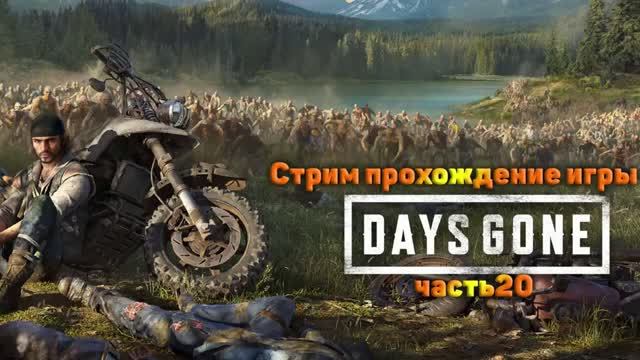 Days Gone