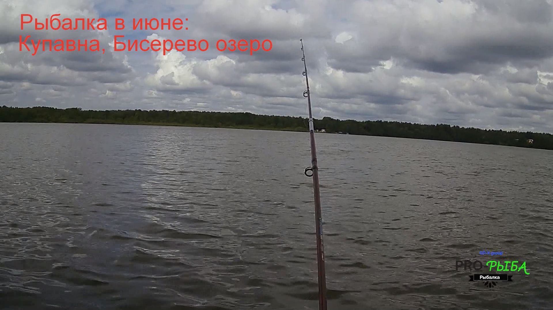 Pro-Риба