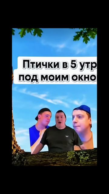 Было? (птички в 5 утра)