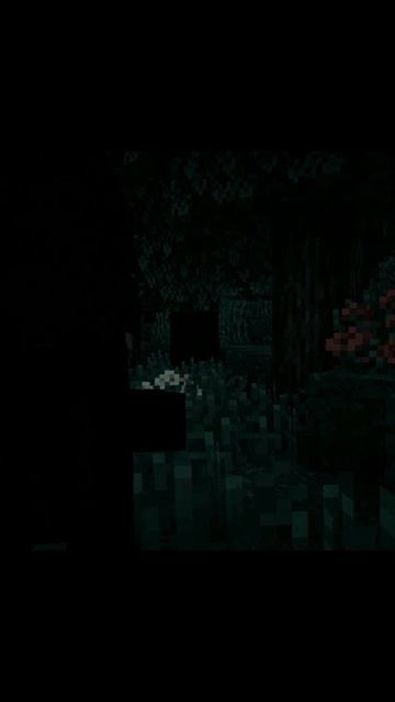 Тг канал : @Web_skid #майнкрафт #minecraft  #эдит #сериал #кондиции #edit #memes