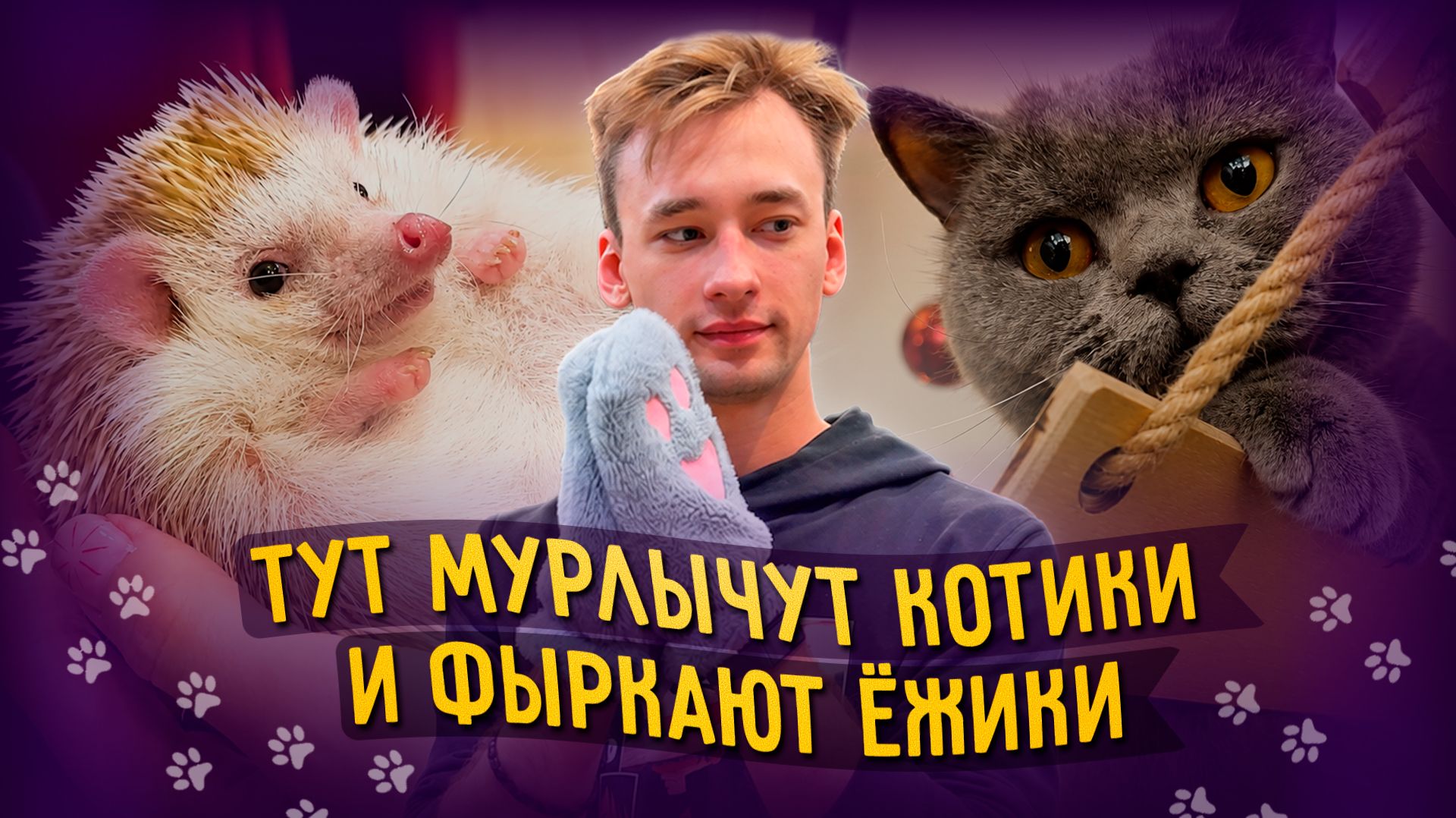 Репортажи