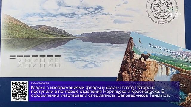 ДАЙДЖЕСТ «СЕВЕРНОГО ГОРОДА», 16.07.2026