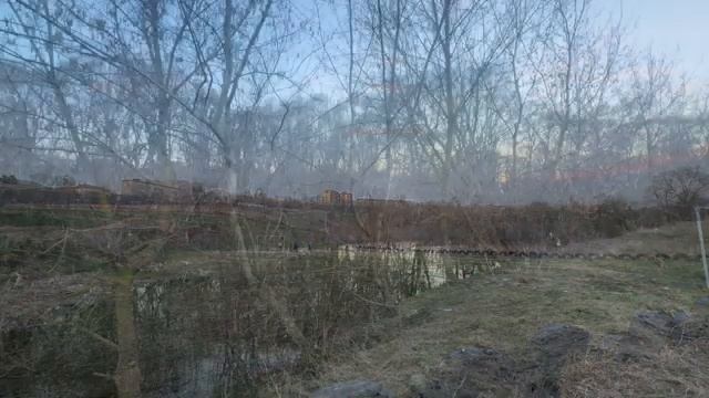 У ТЕЛЕФОНА. Детектив Джордж и Маргарет Коул