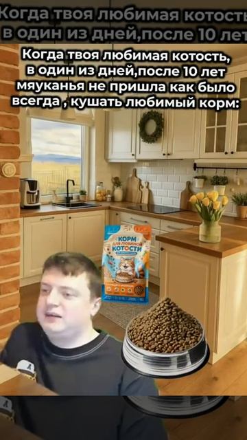 Котость