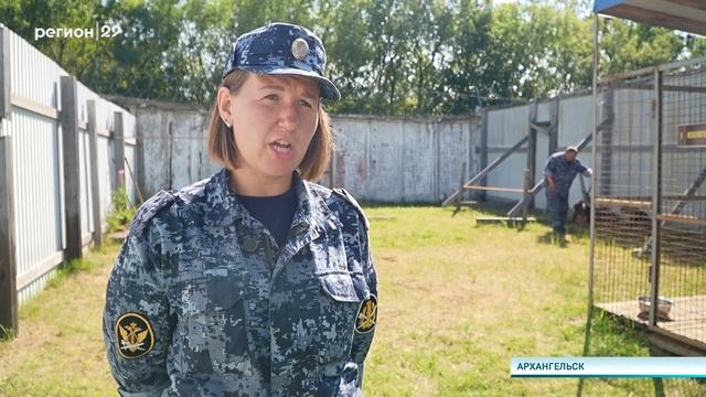 Телеканал Регион 29_ПТ питомник пополнение