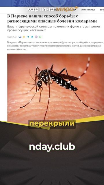 Матрица в реальности: Вирусы, вакцины и новые виды комаров