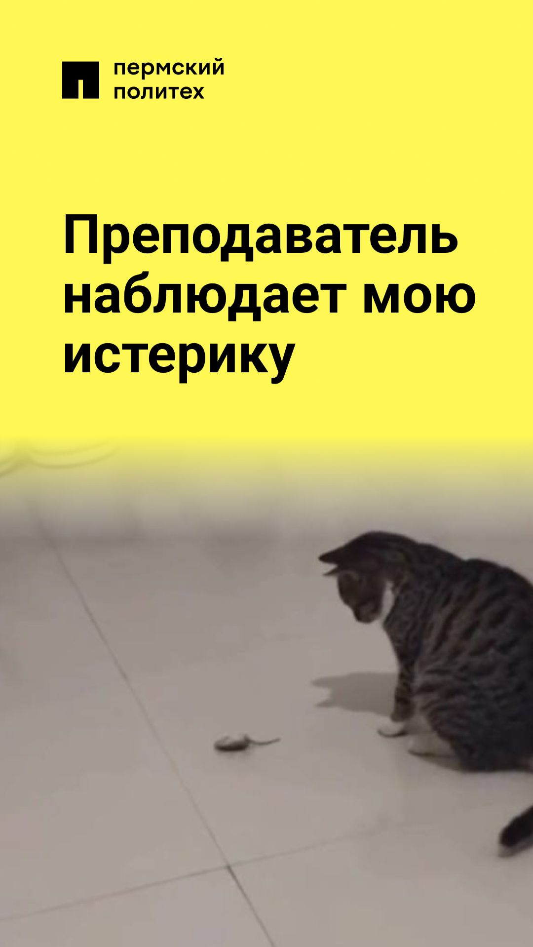 Преподаватель наблюдает мою истерику