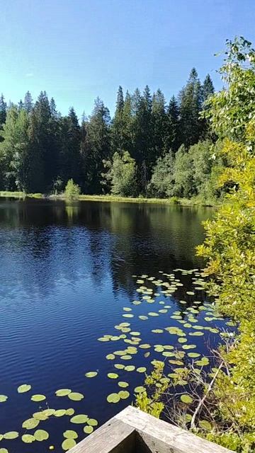 Прогулка по берегу Ладоги на острове Валаам